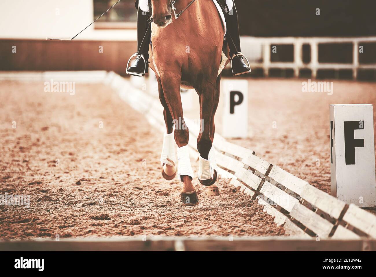 The horse and rider training to complete the dressage route in cloudy ...