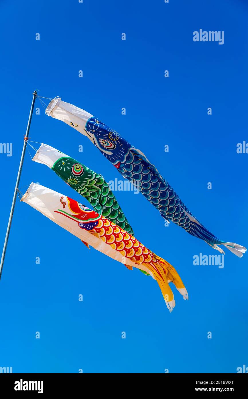 Carp windsock hi-res stock photography and images - Alamy