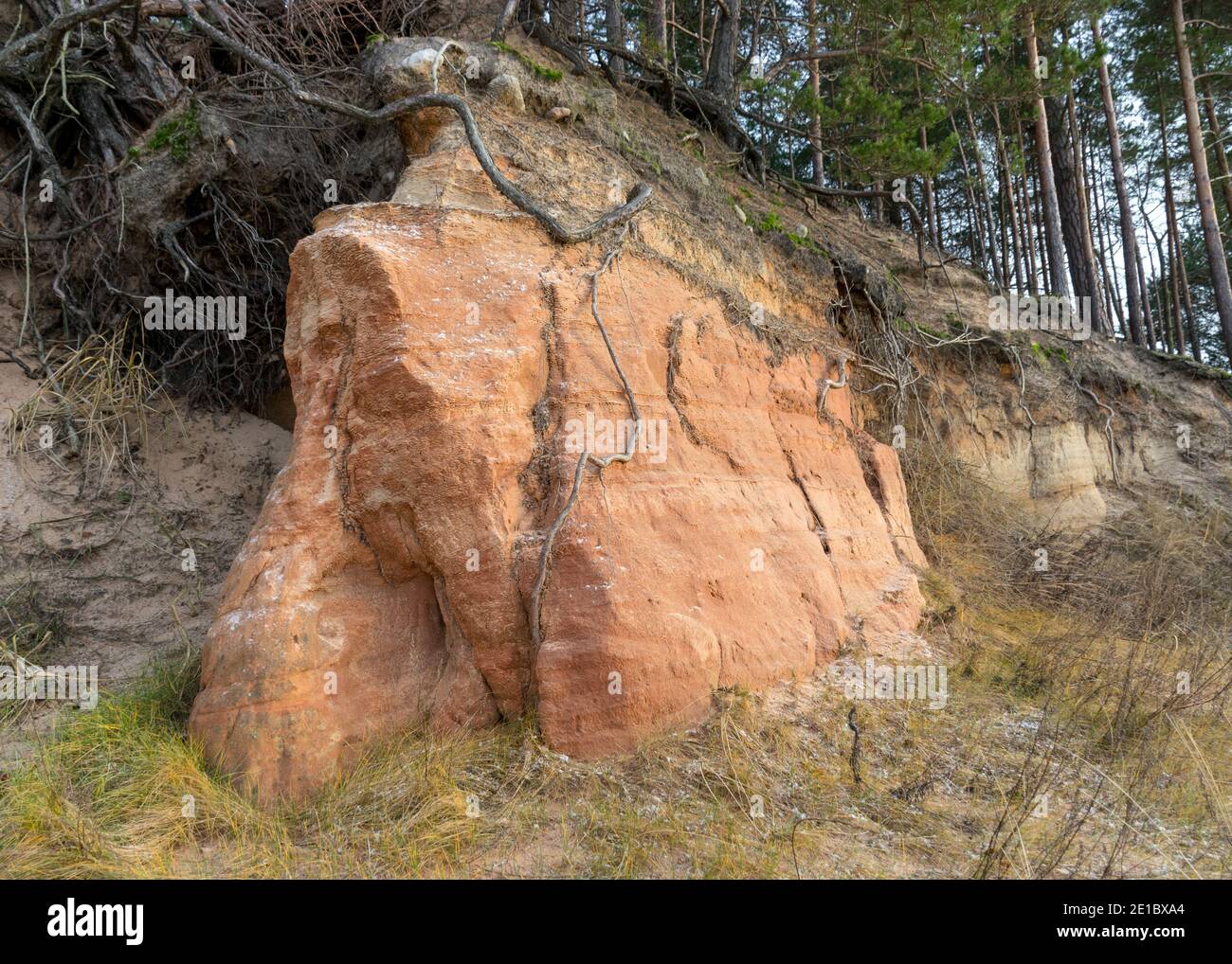 Sea cliff with Devonian sandstone outcrops. During the storm, niches ...