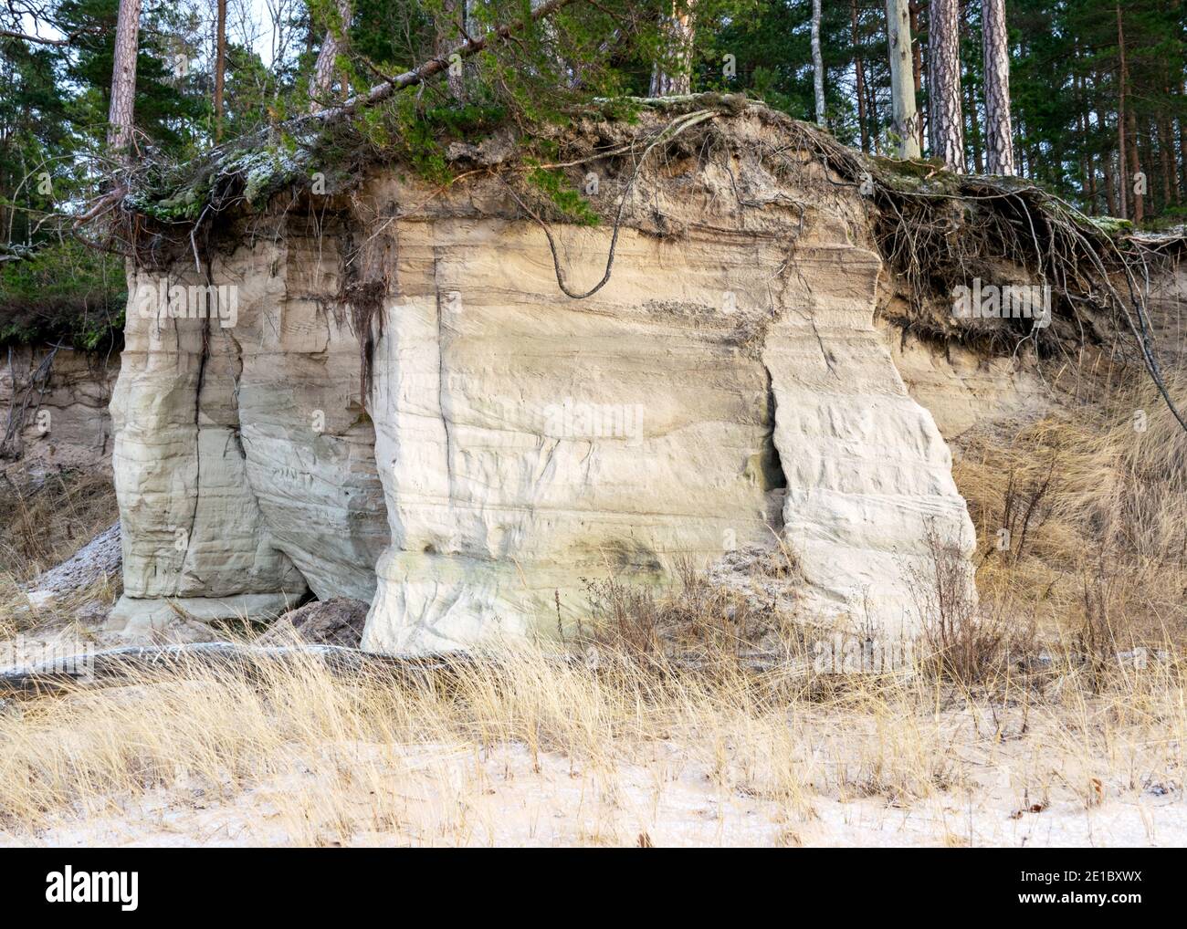 Mediumgrained hi-res stock photography and images - Alamy