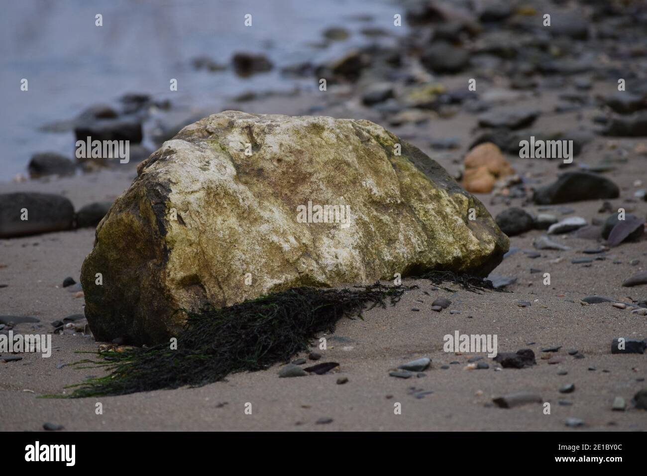 green Discoloration of a Stone due to Algae Stock Photo - Alamy