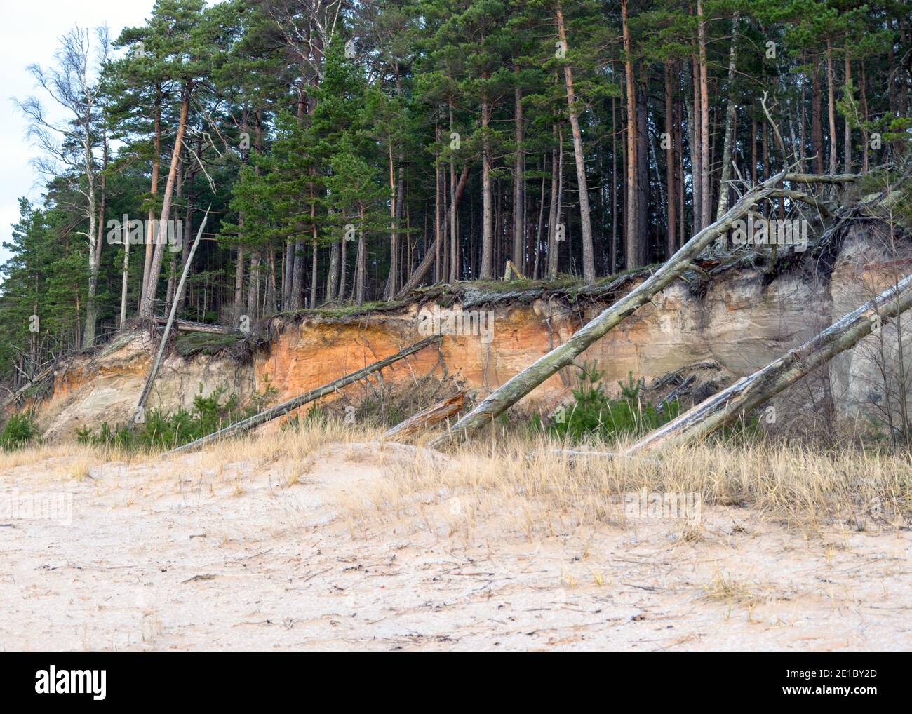 Land outcrops. The outcrops are mainly composed of fine-grained to ...