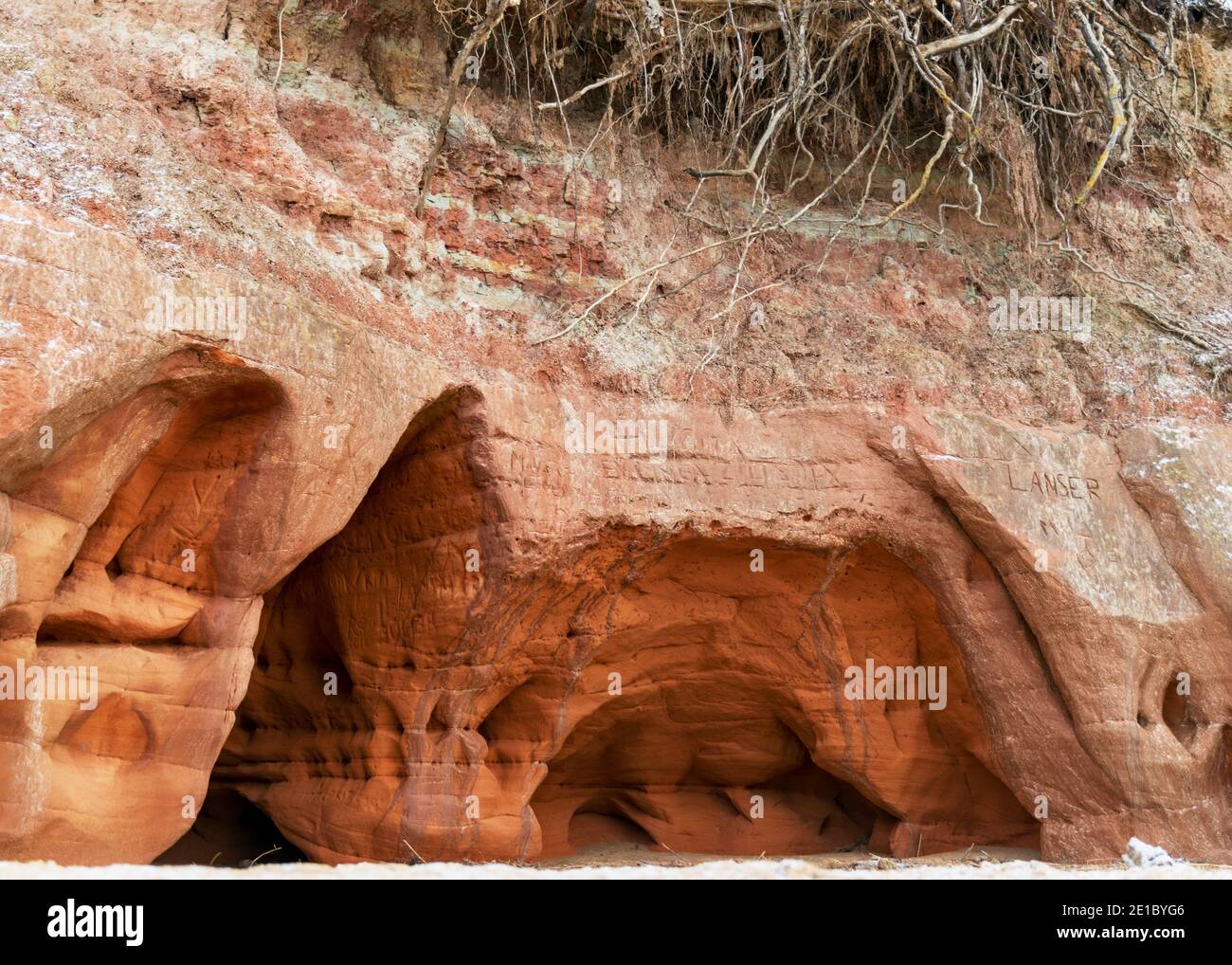 Sea cliff with Devonian sandstone outcrops. During the storm, niches ...