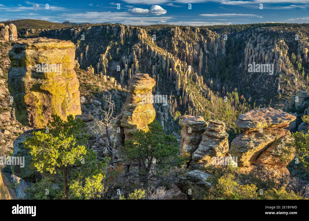 Rhyolite rock pinnacles at Massai Point, Chiricahua National Monument ...