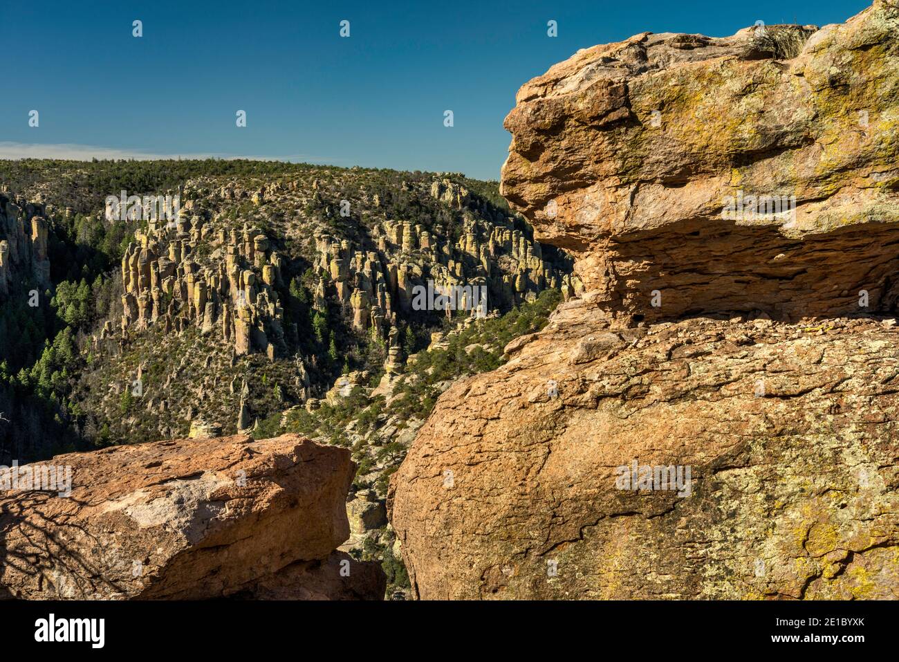 Rhyolite rock hi-res stock photography and images - Alamy