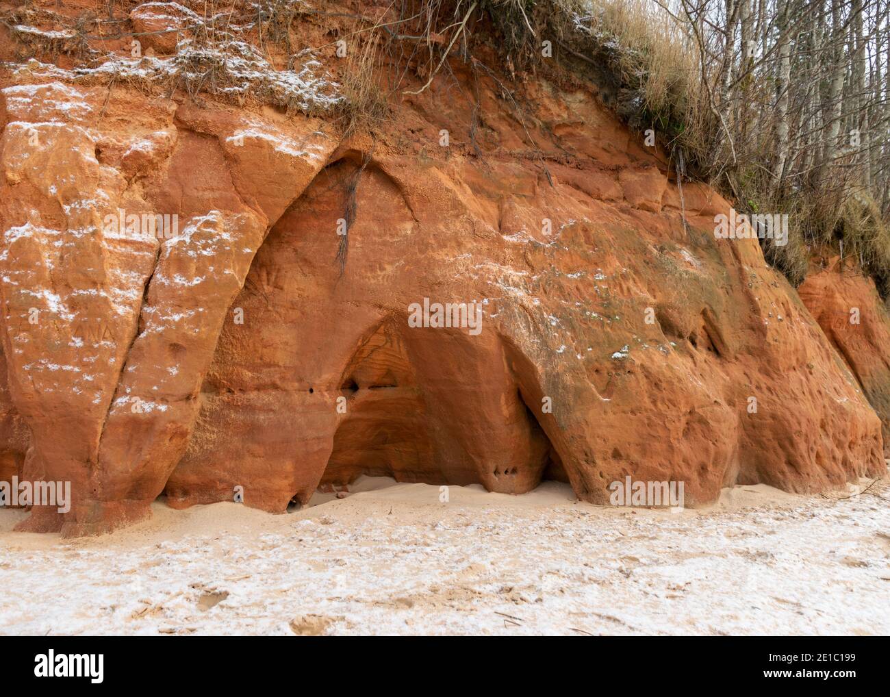 Sea cliff with Devonian sandstone outcrops. During the storm, niches ...