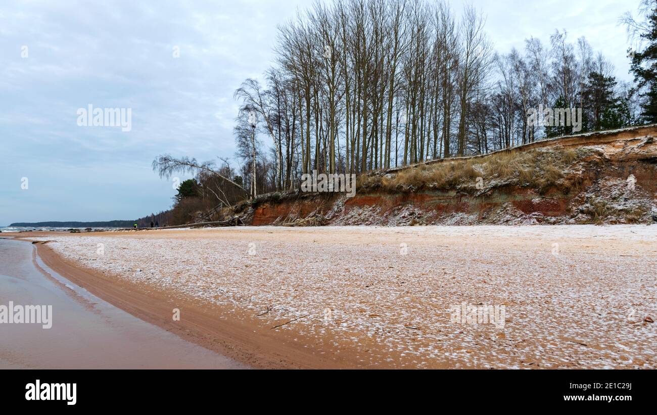 winter landscape with sandy beach, wild sea shore, red sand and clay ...