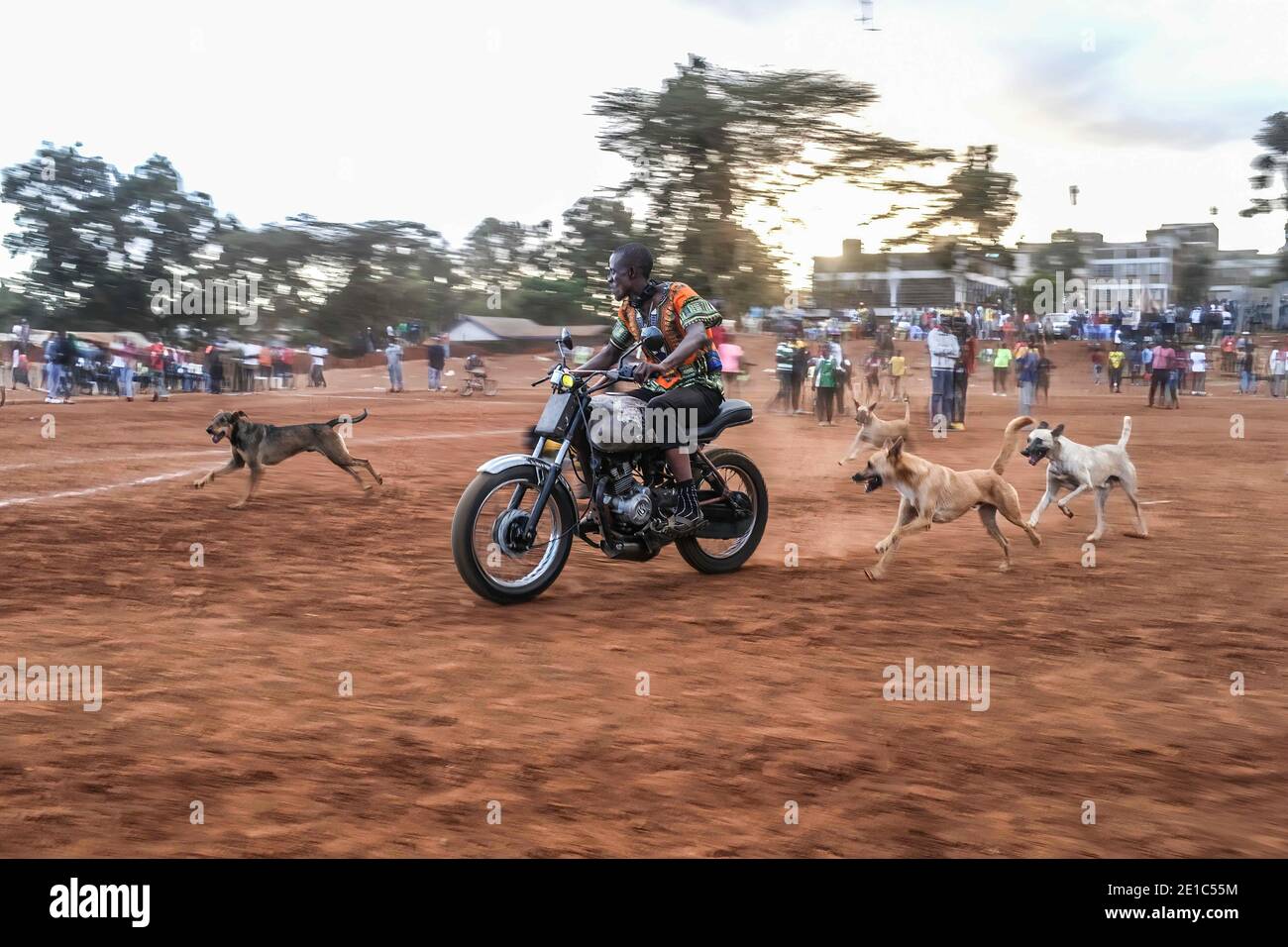 Gogo images hi-res stock photography and images - Alamy
