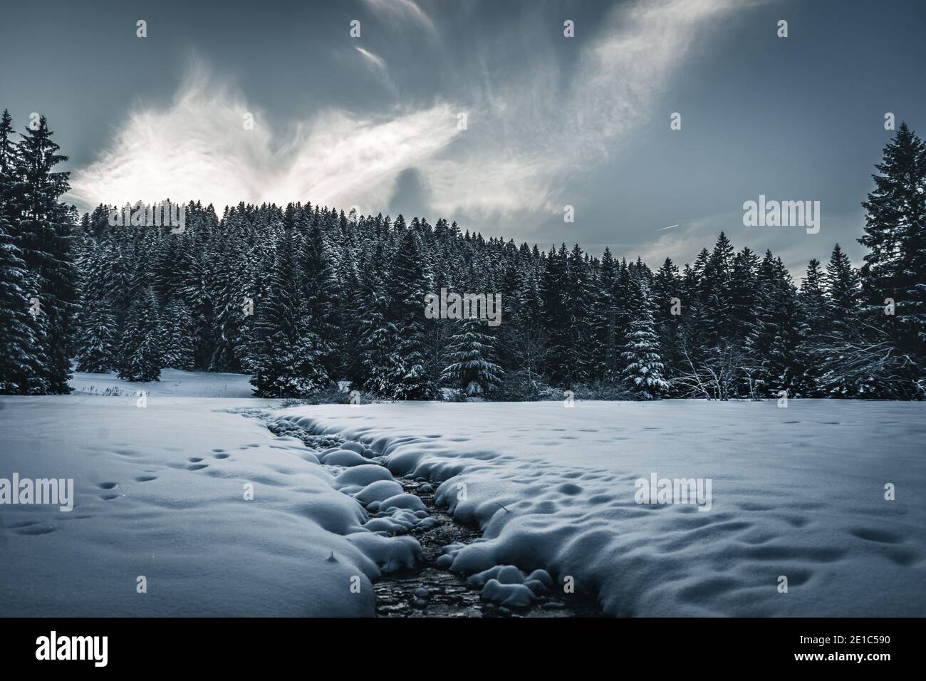 Swiss forest hi-res stock photography and images - Alamy