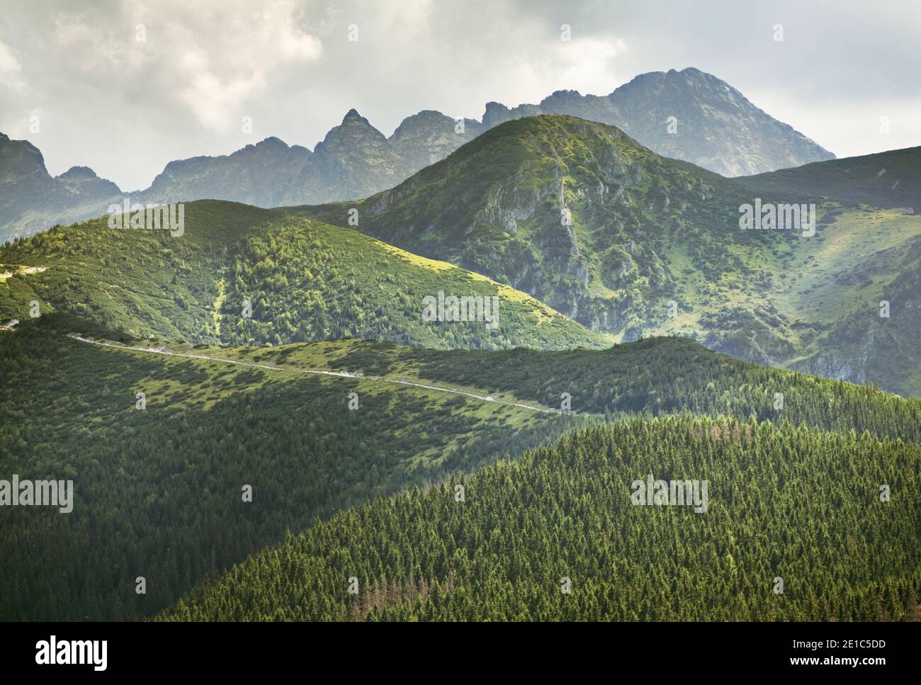 View of High Tatras mountains near Zakopane. Poland Stock Photo - Alamy