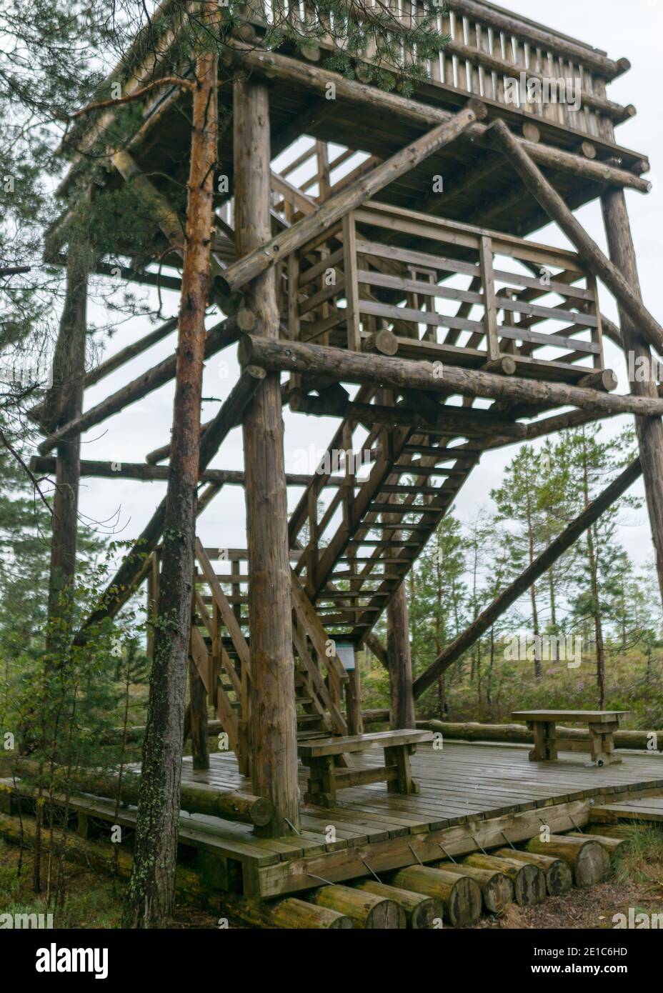 rainy day, rainy background, traditional bog landscape, wooden lookout ...