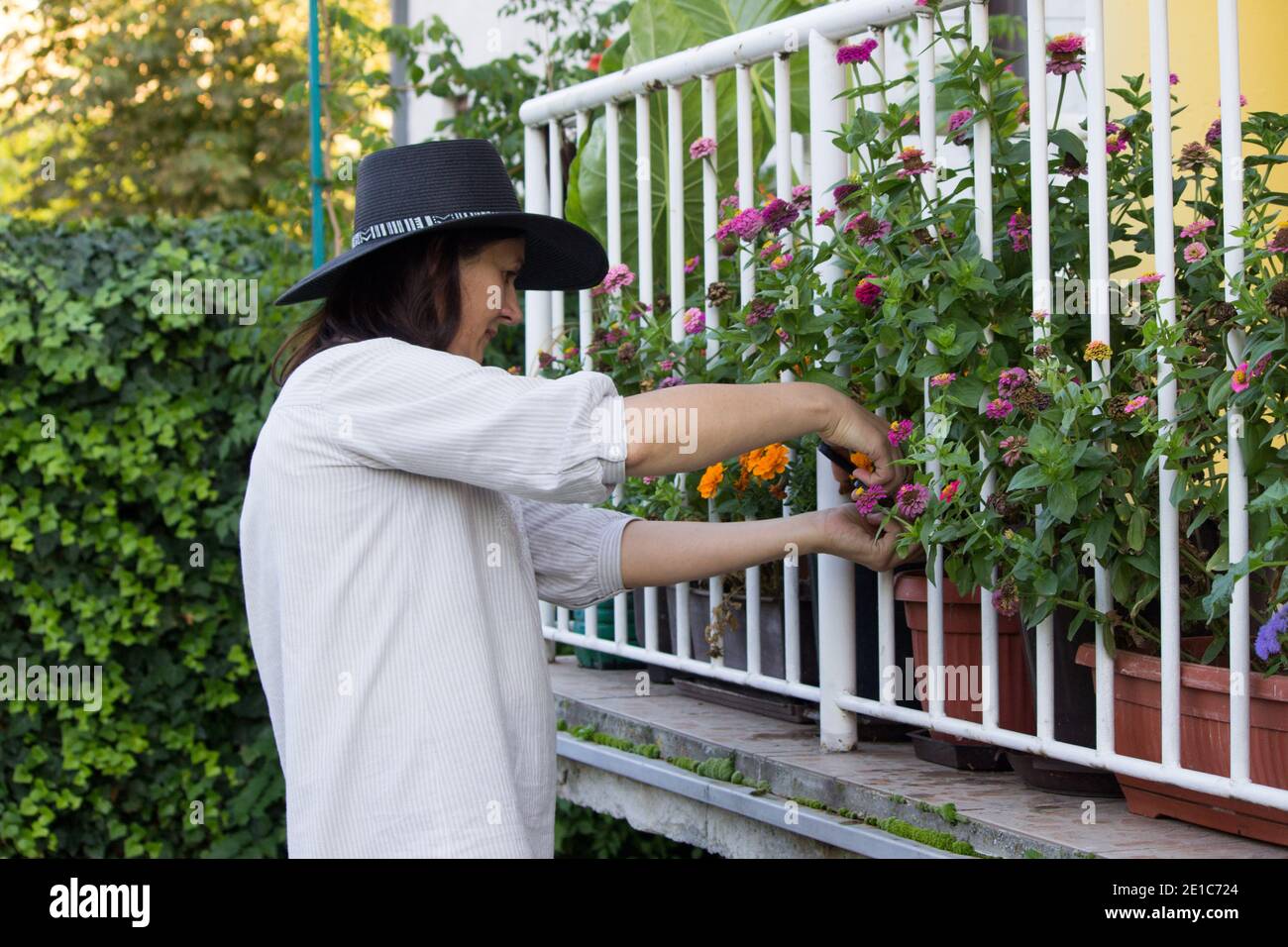 Women gardener cutting tree hi-res stock photography and images - Alamy