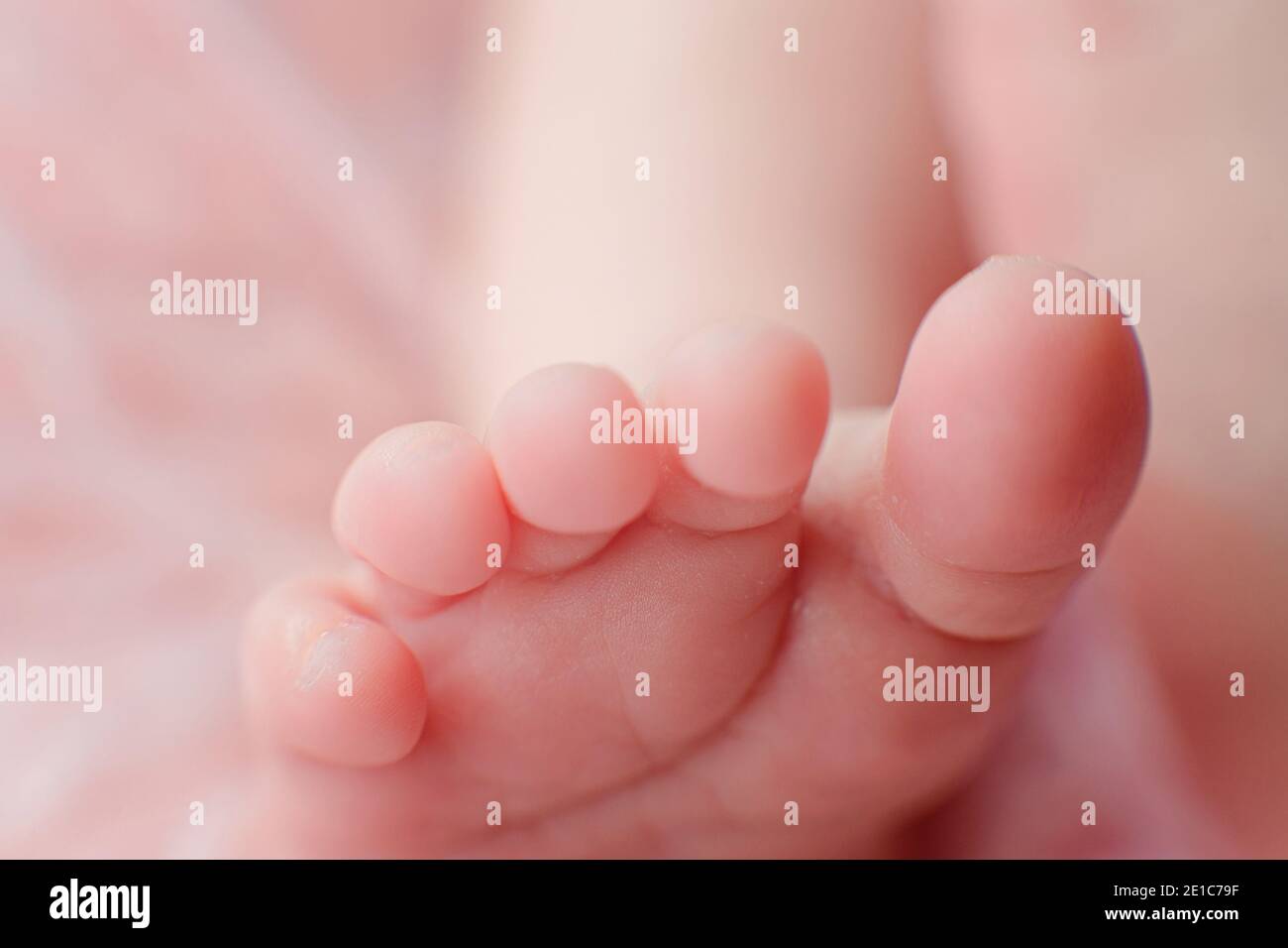 Caucasian Newborn baby foot closeup macro detail shot. child portrait ...