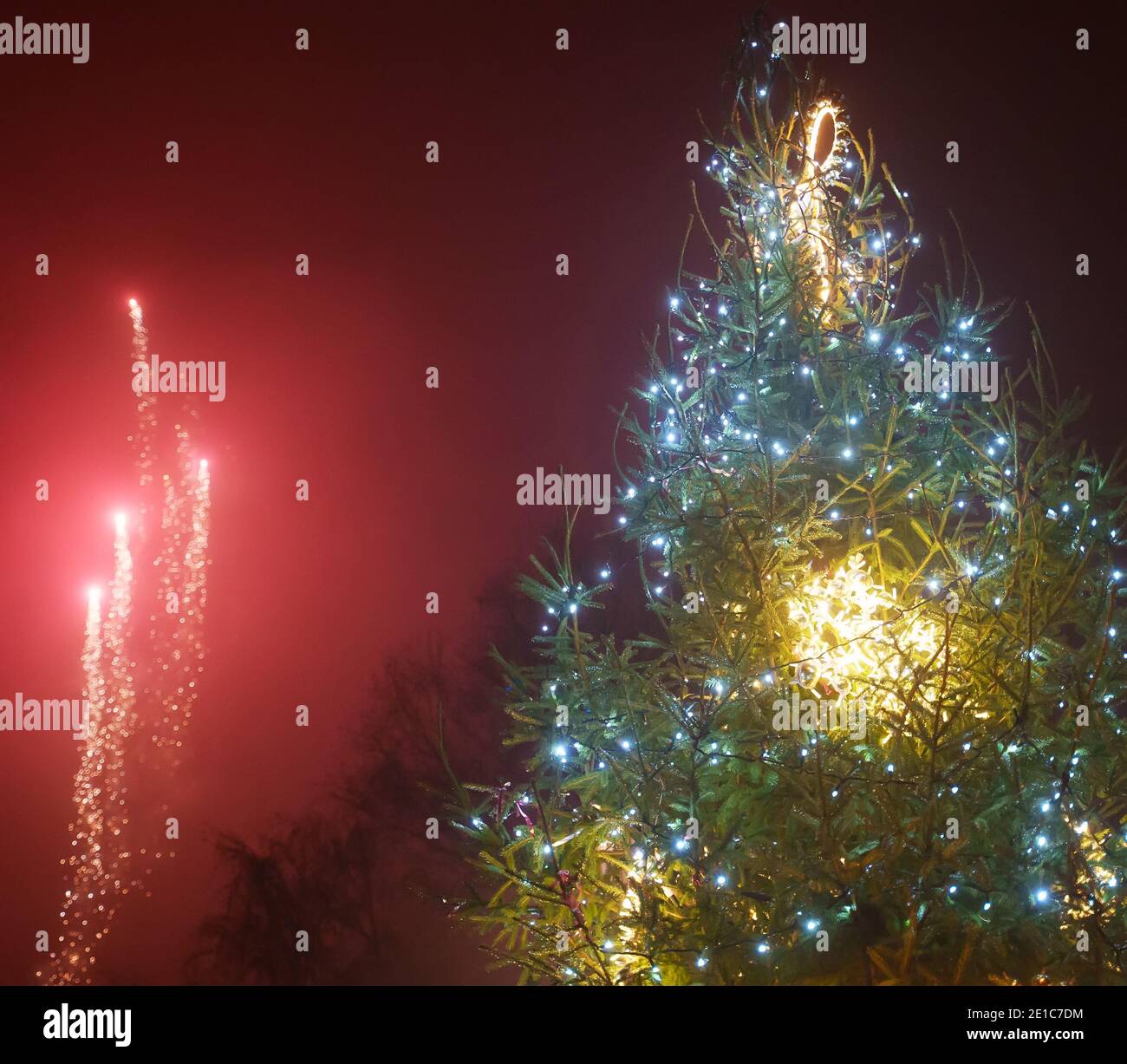 Pine tree fireworks hi-res stock photography and images - Alamy