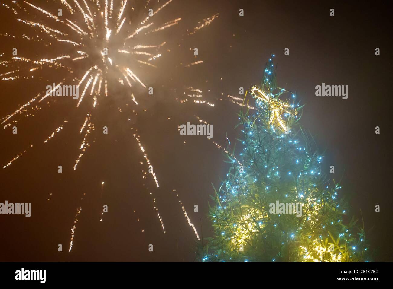 Pine tree fireworks hi-res stock photography and images - Alamy
