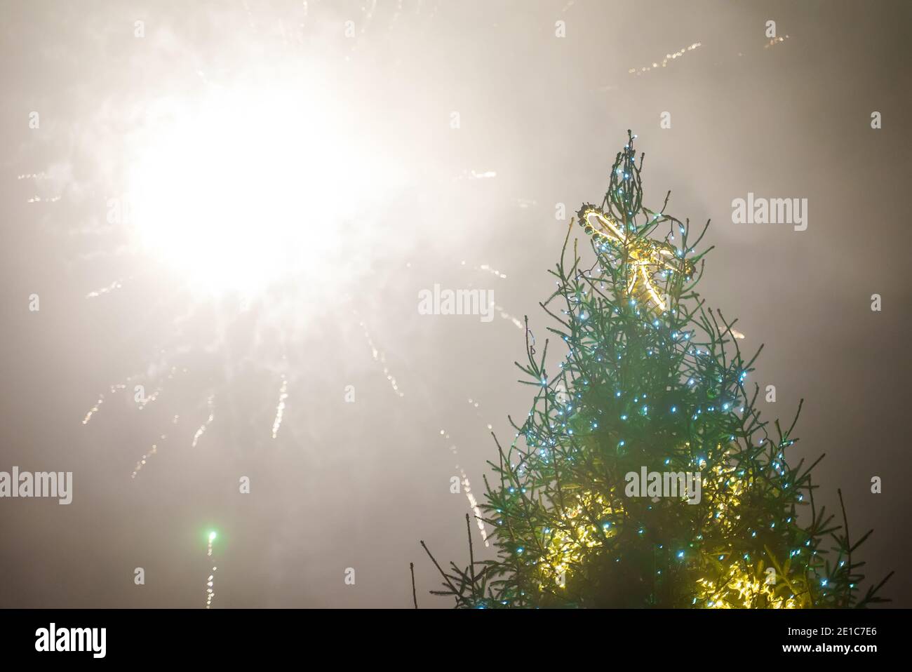 Pine tree fireworks hi-res stock photography and images - Alamy