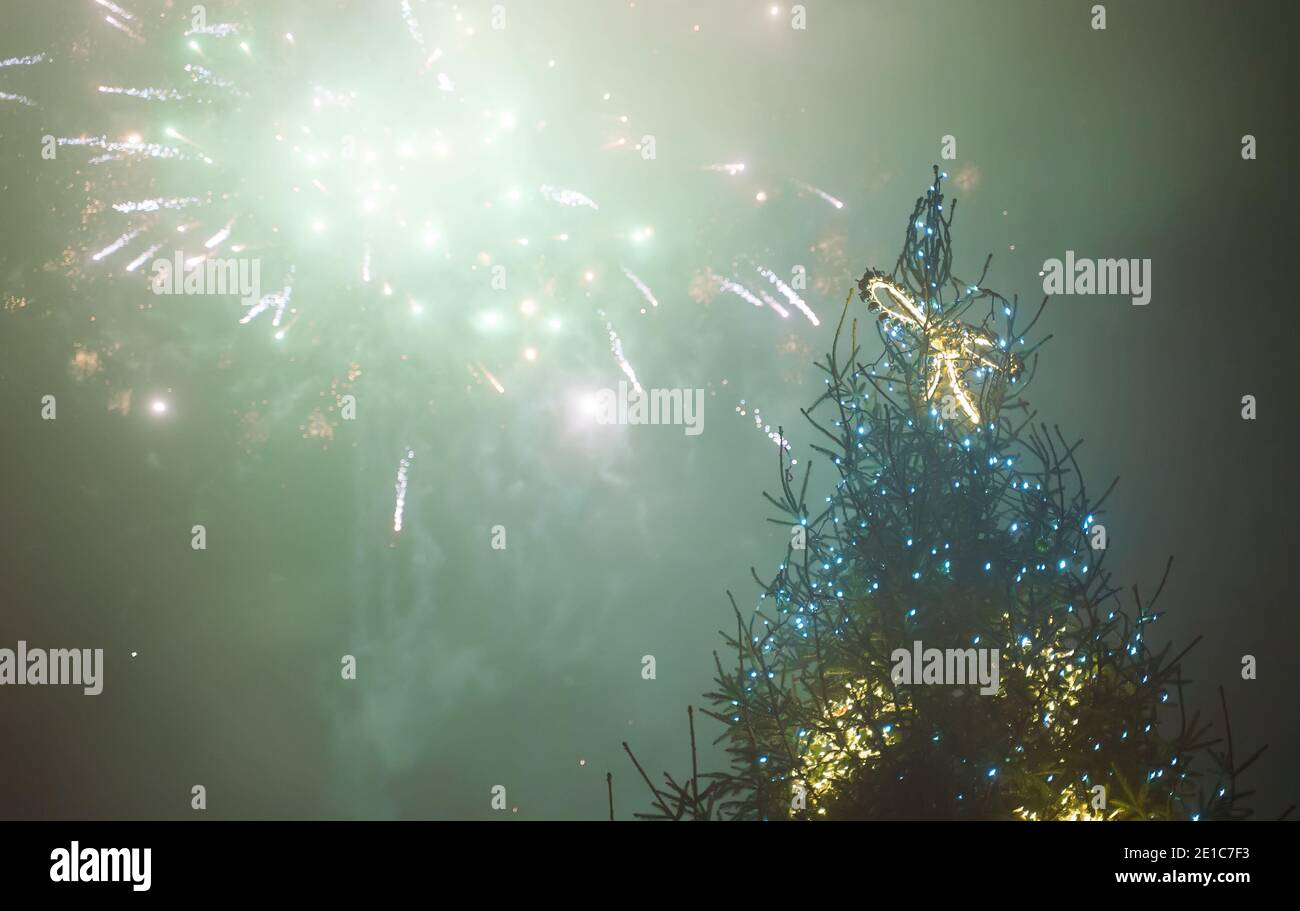 Pine tree fireworks hi-res stock photography and images - Alamy