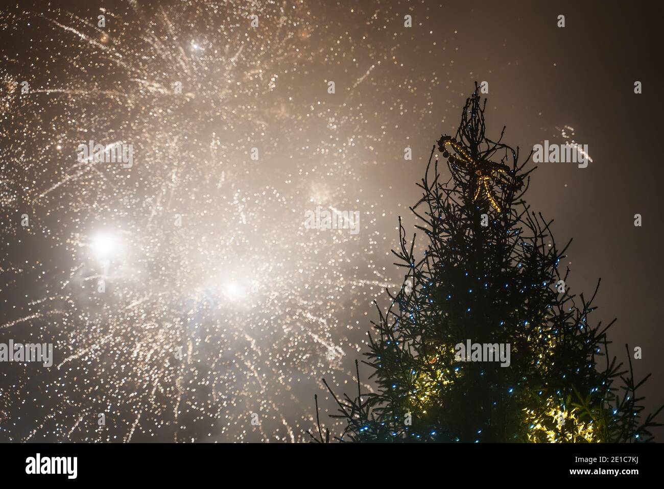 Pine tree fireworks hi-res stock photography and images - Alamy