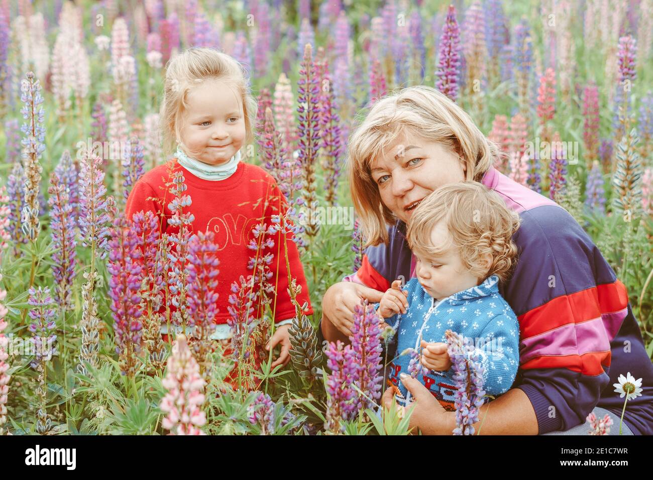 grandmother with a small grandson on a country plot Stock Photo - Alamy