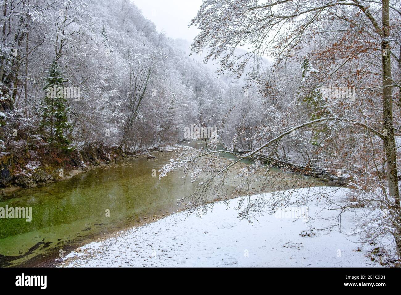 mountain forest in the austrian national park kalkalpen in winter Stock ...