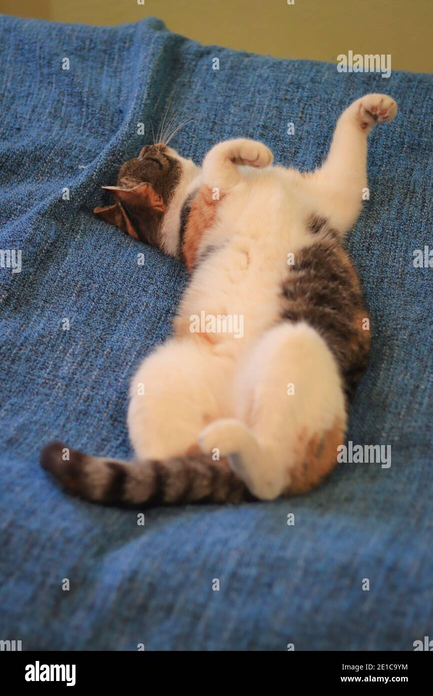Absolute bliss hi-res stock photography and images - Alamy