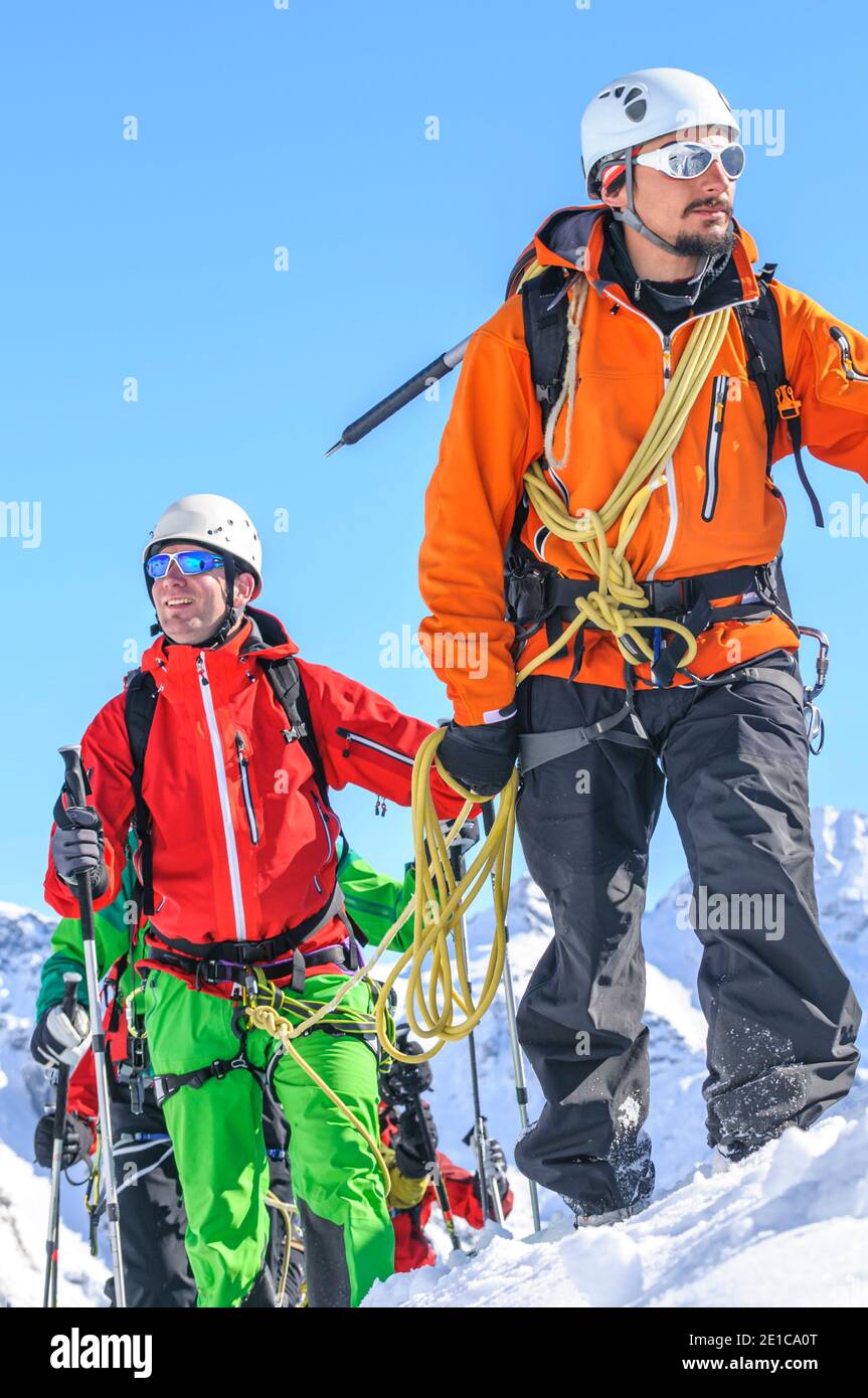 Mountain guide leading a group of alpinists up to Monte Rosa Glaciers ...