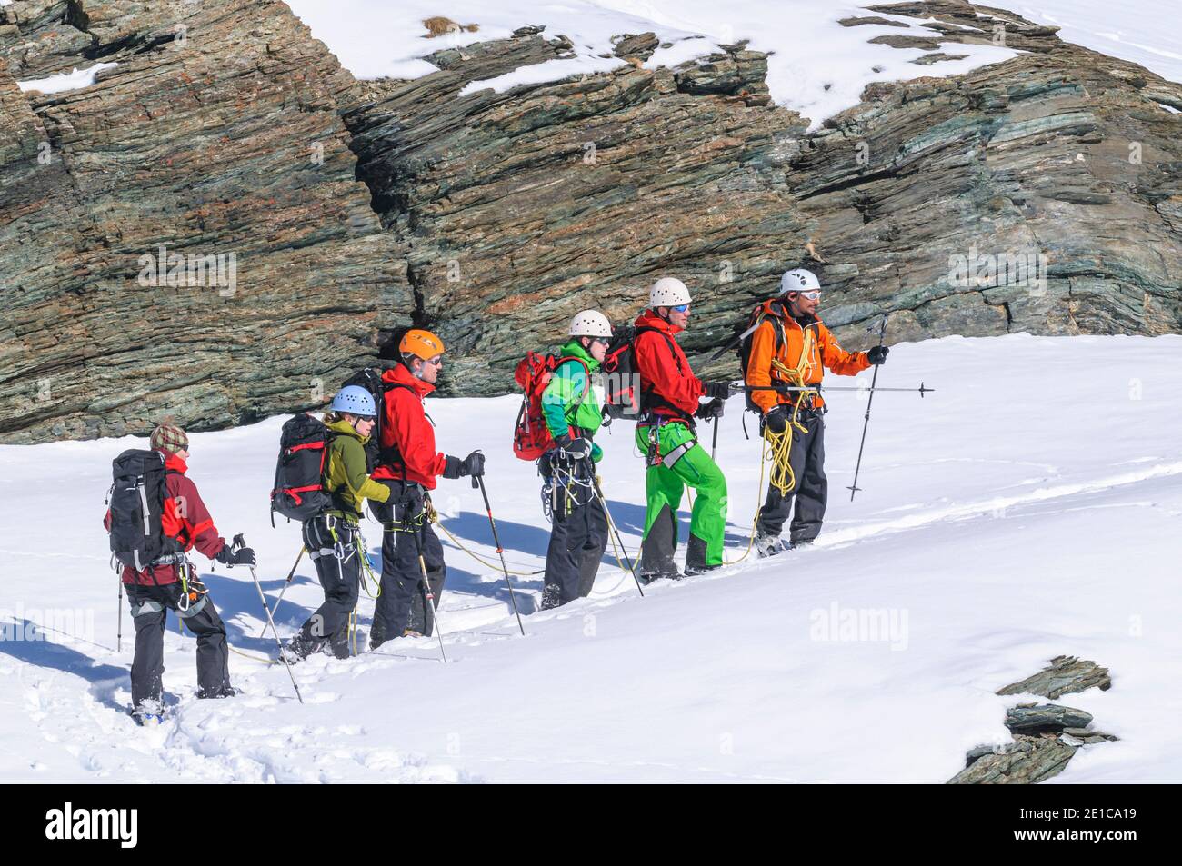 Mountain guide leading a group of alpinists up to Monte Rosa Glaciers ...
