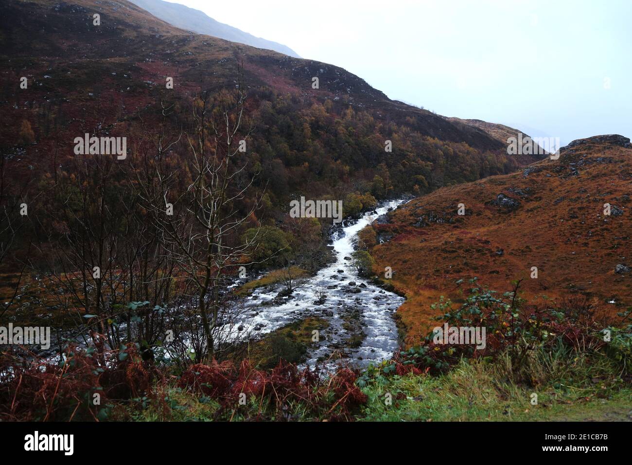 Scottish landscape in autumn, Scotland Stock Photo - Alamy