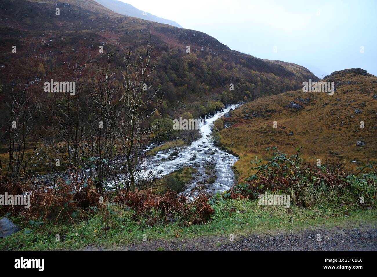 Scottish landscape in autumn, Scotland Stock Photo - Alamy