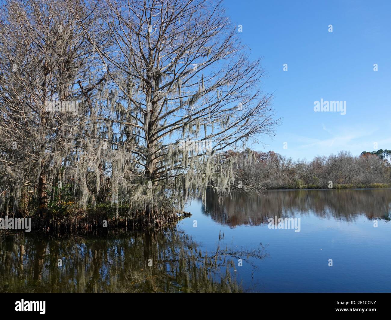 Sunny day north florida hi-res stock photography and images - Alamy
