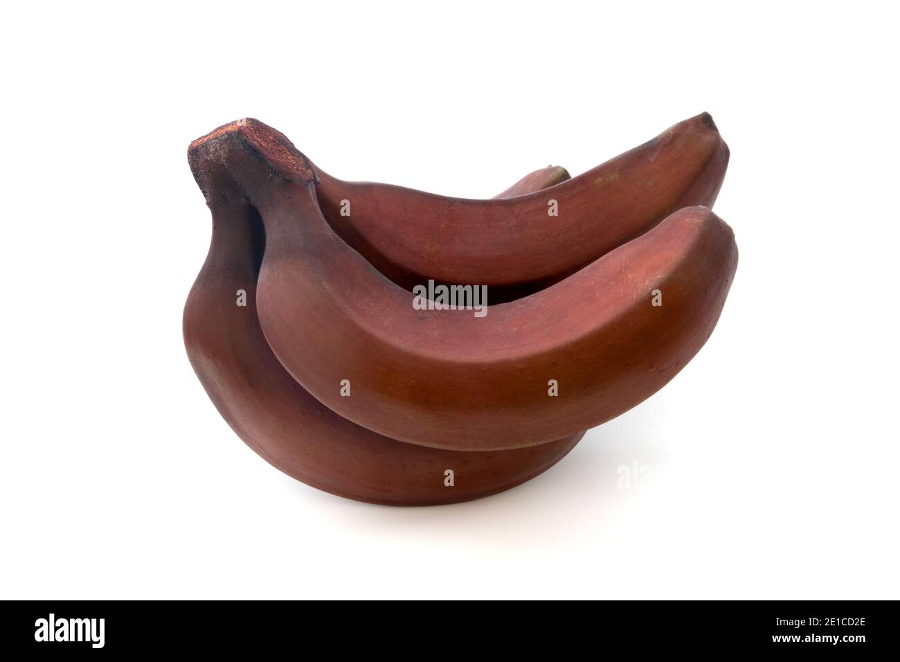 Red banana (Musa acuminata var Red Dacca) on a white background Stock ...