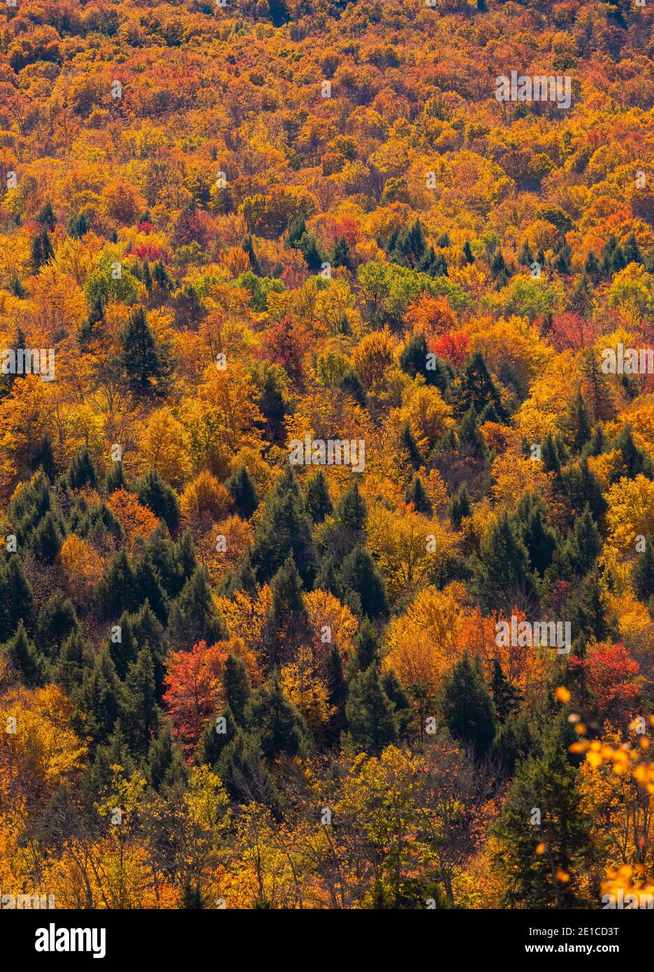 Scenic landscape river green mountains hi-res stock photography and ...