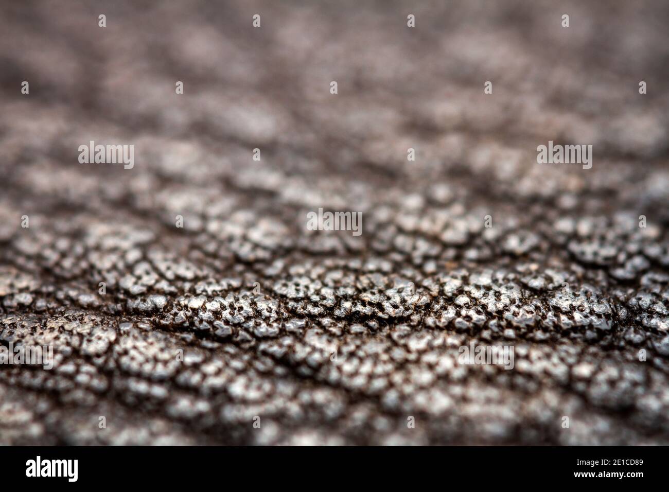 Brown leather field hi-res stock photography and images - Alamy