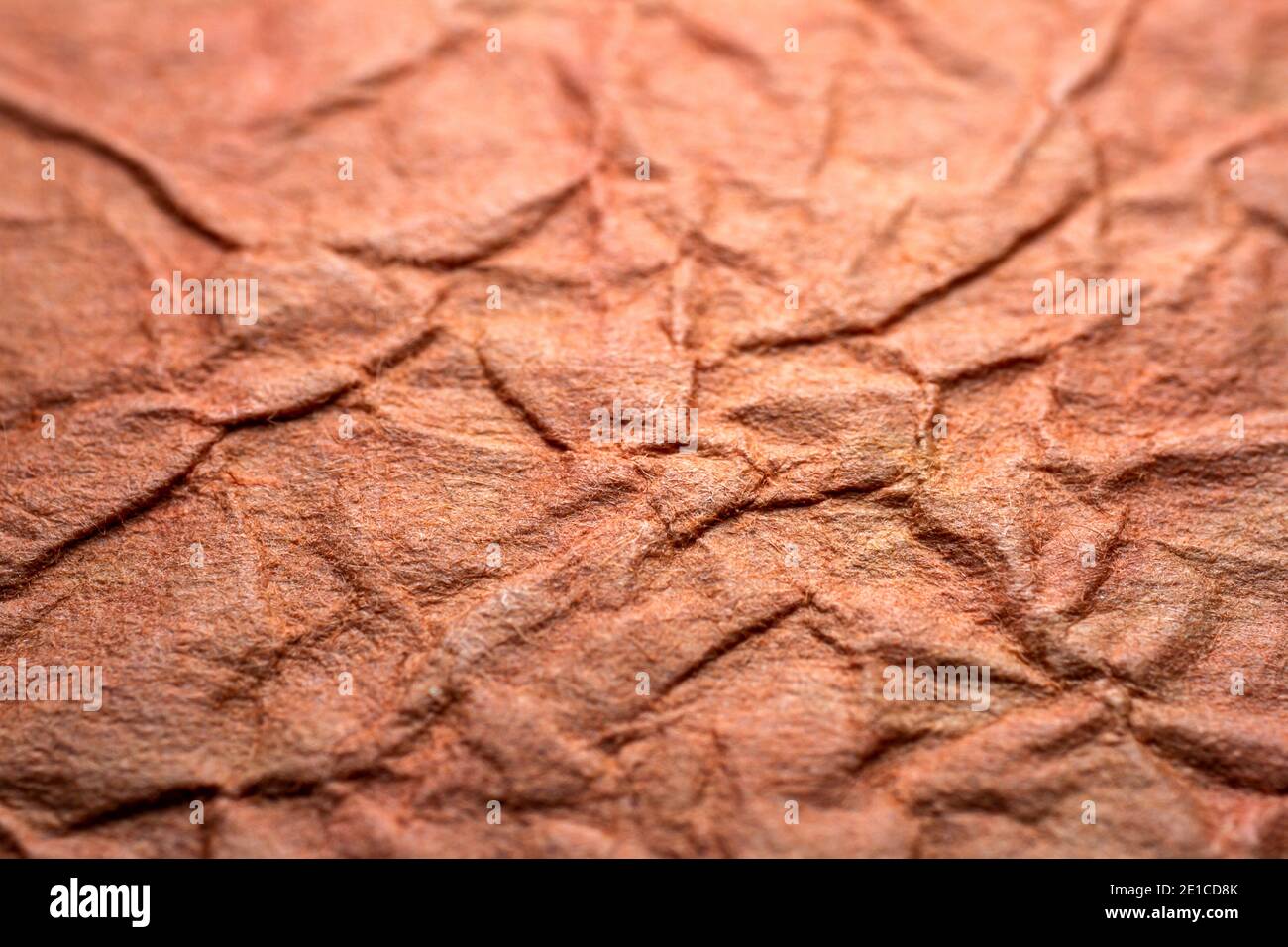 Wrinkled stained paper hi-res stock photography and images - Alamy
