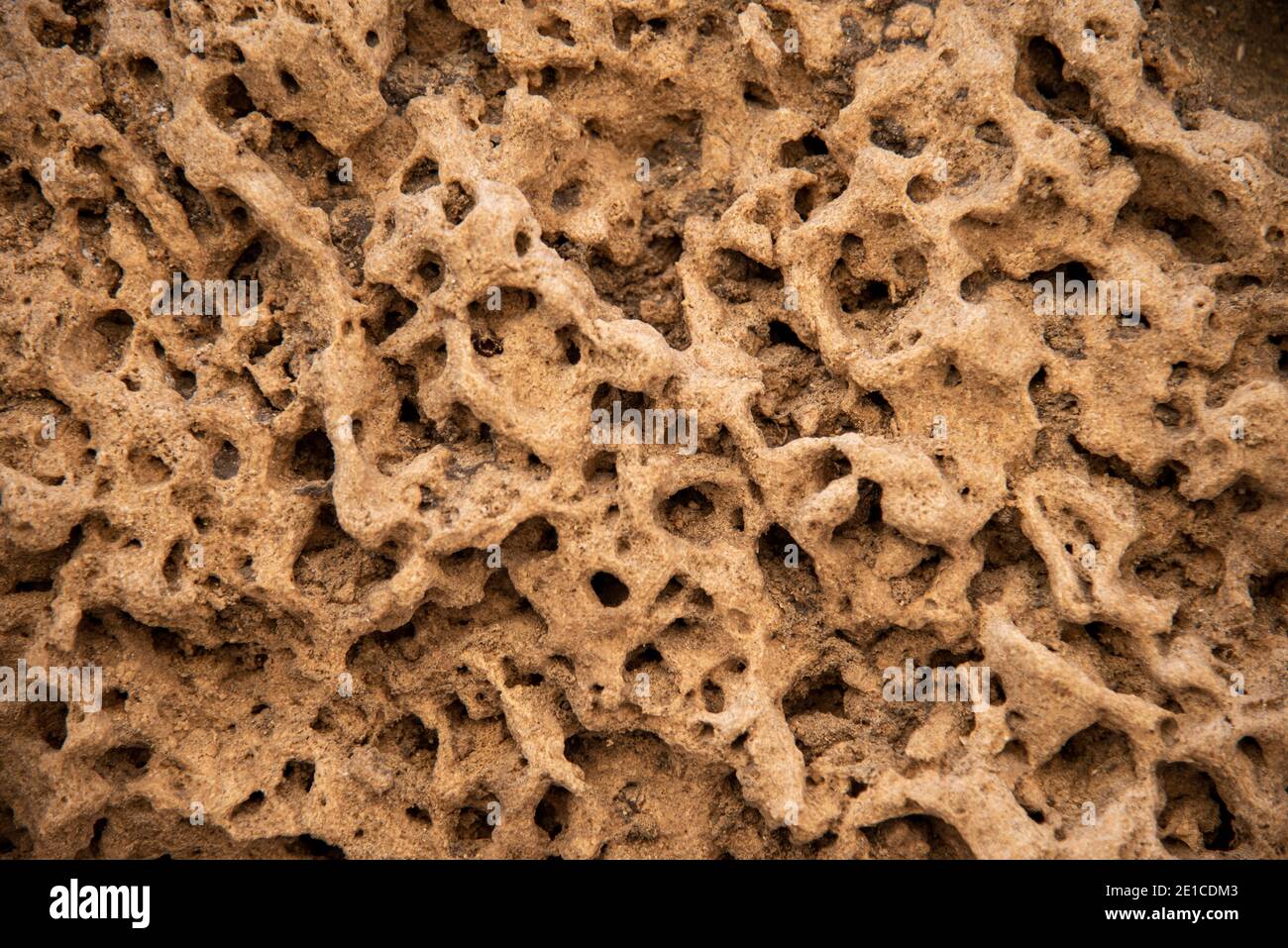 Porous stone hi-res stock photography and images - Alamy