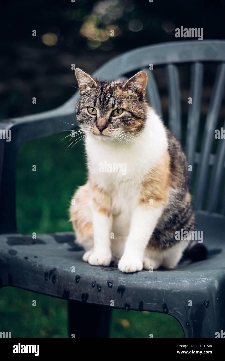 Destroyed plastic chair hi-res stock photography and images - Alamy