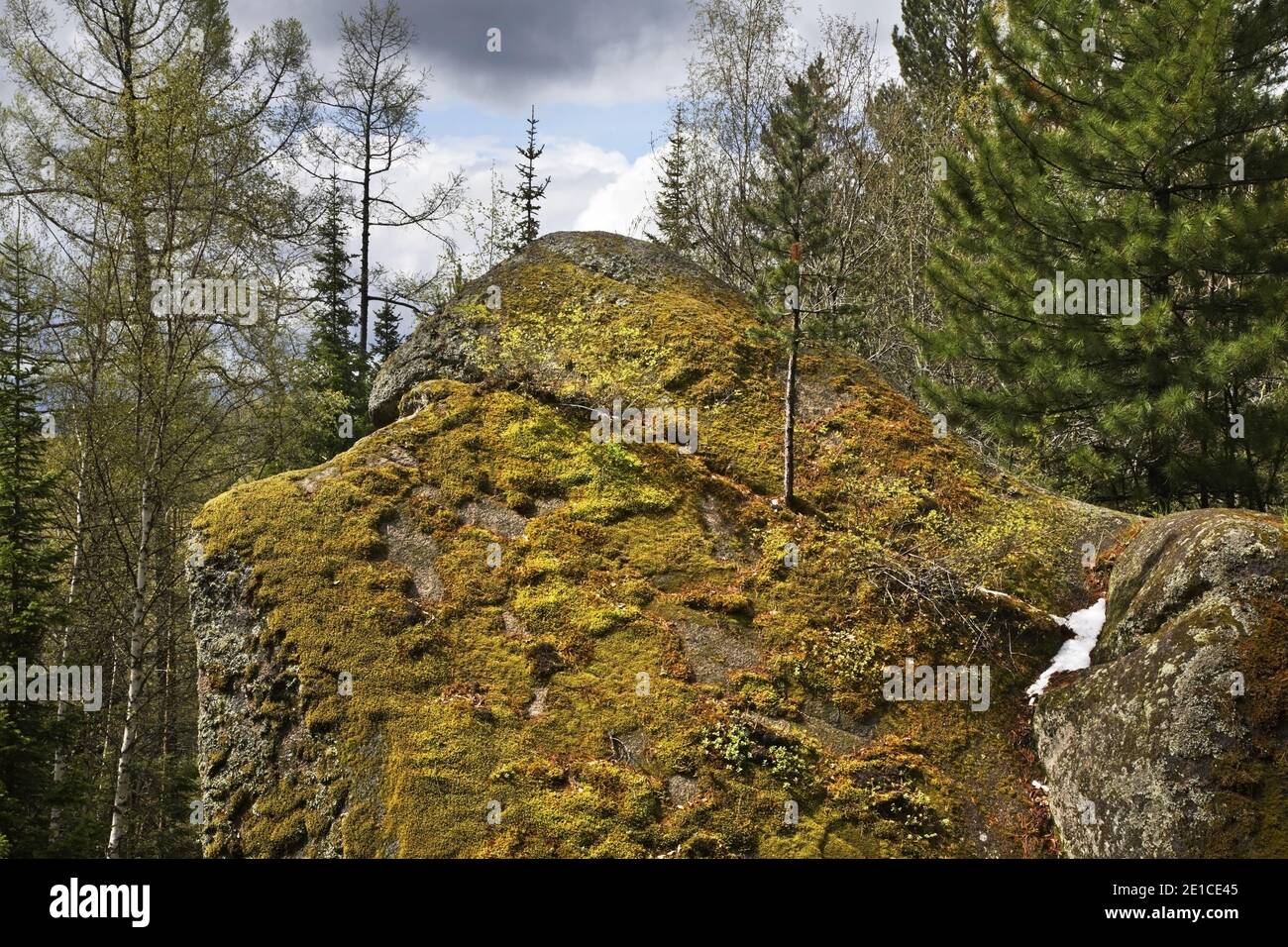 Stolby Nature Sanctuary near Krasnoyarsk. Russia Stock Photo - Alamy