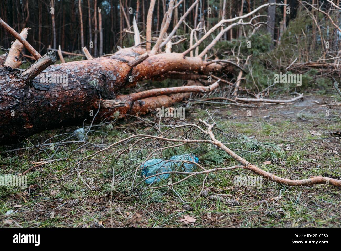 Tornado bottle hi-res stock photography and images - Alamy