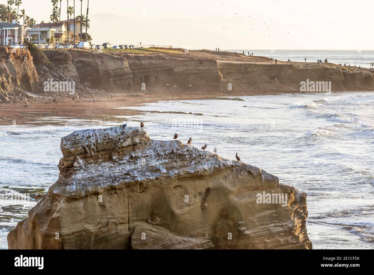 Coastal scene in winter at Sunset Cliffs Natural Park. San Diego ...