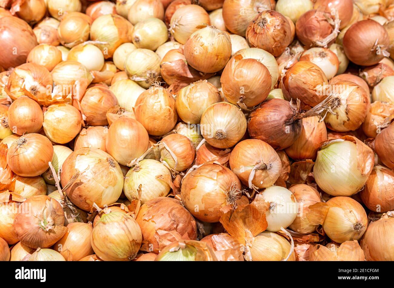 Nature background from fresh bulb onion close up Stock Photo - Alamy