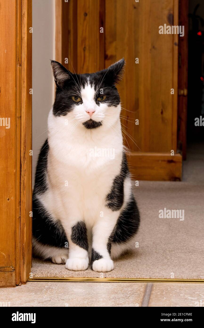 Serious face stand on the door frame Stock Photo - Alamy