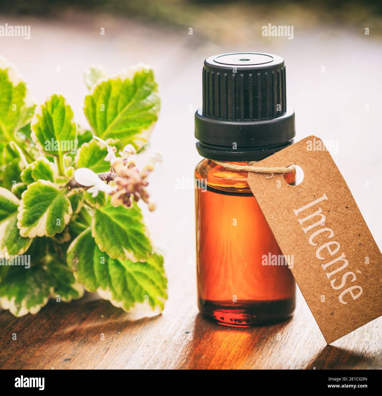 Fresh incense twig and essential oil on wooden background, label with ...