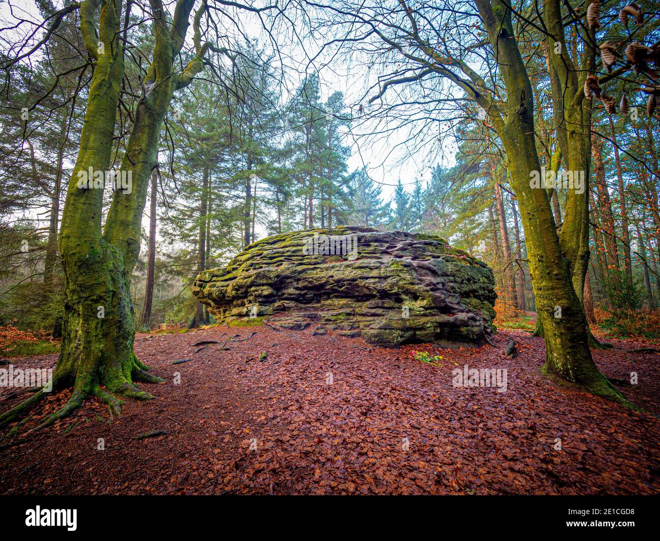 The Adderstone in Dalby Forest, North Yorkshire, UK Stock Photo - Alamy