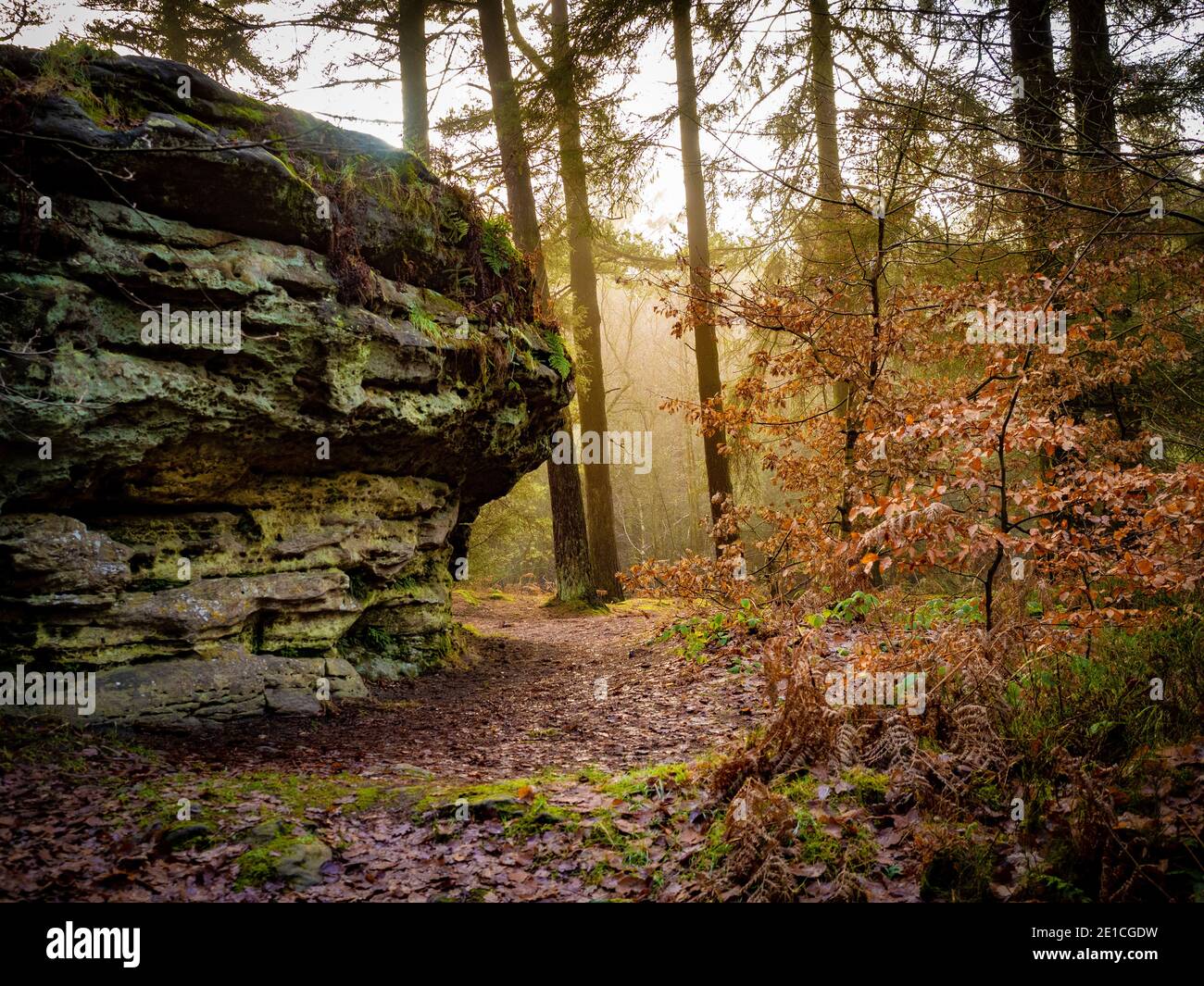 The Adderstone in Dalby Forest, North Yorkshire, UK Stock Photo - Alamy