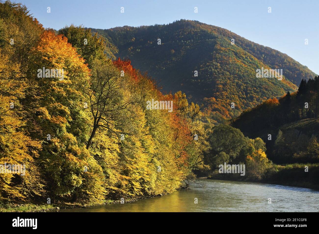 Mountain and river near Zilina. Slovakia Stock Photo - Alamy