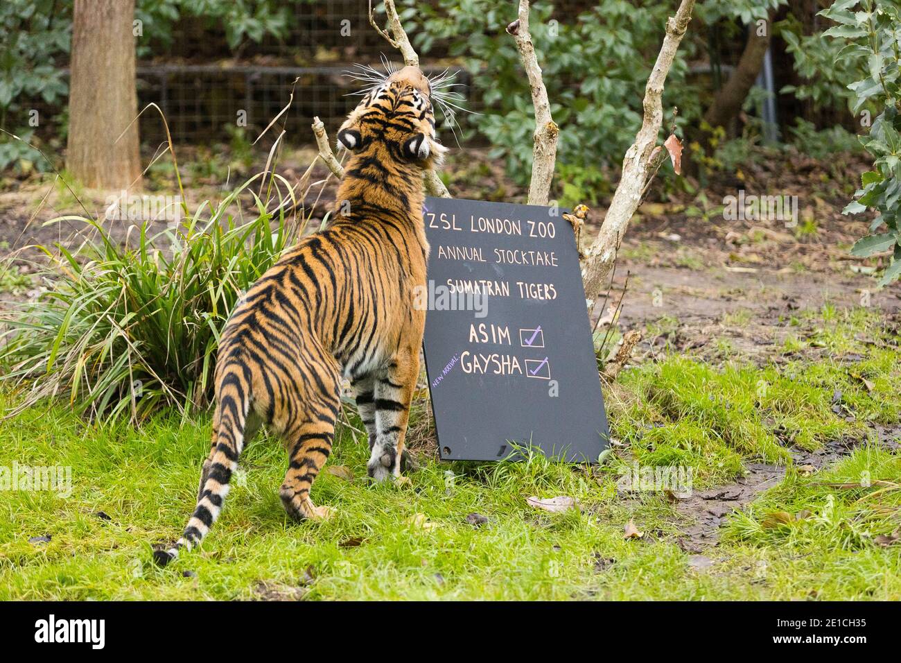 ZSL London Zoo’s Chief Operating Officer, Kathryn England, said: “After ...