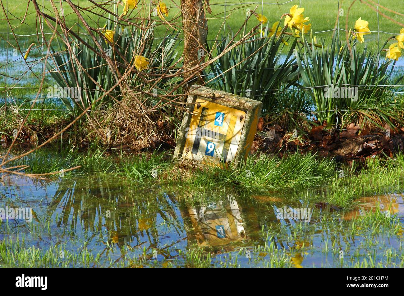 English Fire Hydrant High Resolution Stock Photography and Images - Alamy