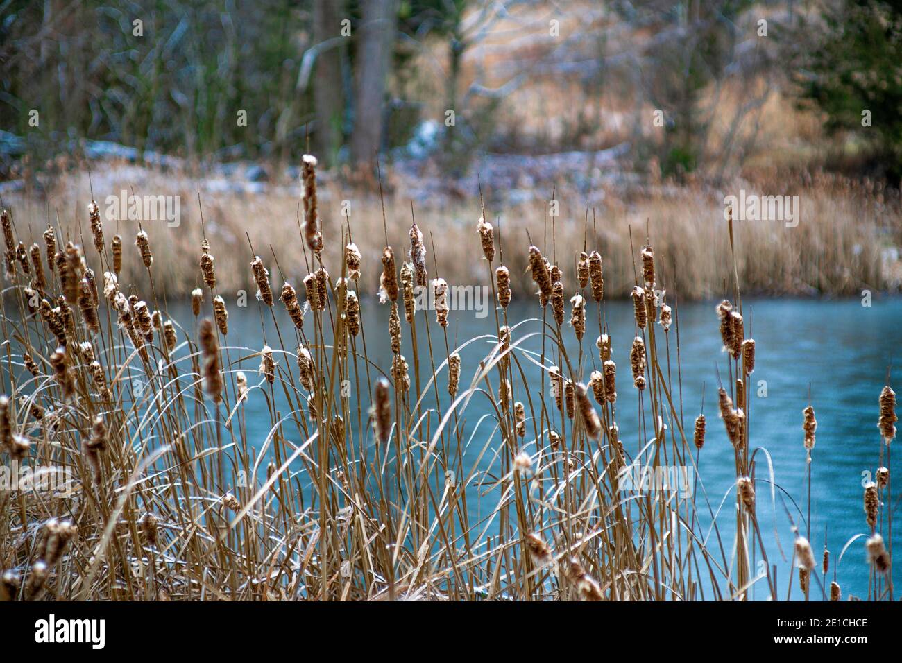 Tipp city park ohio hi-res stock photography and images - Alamy
