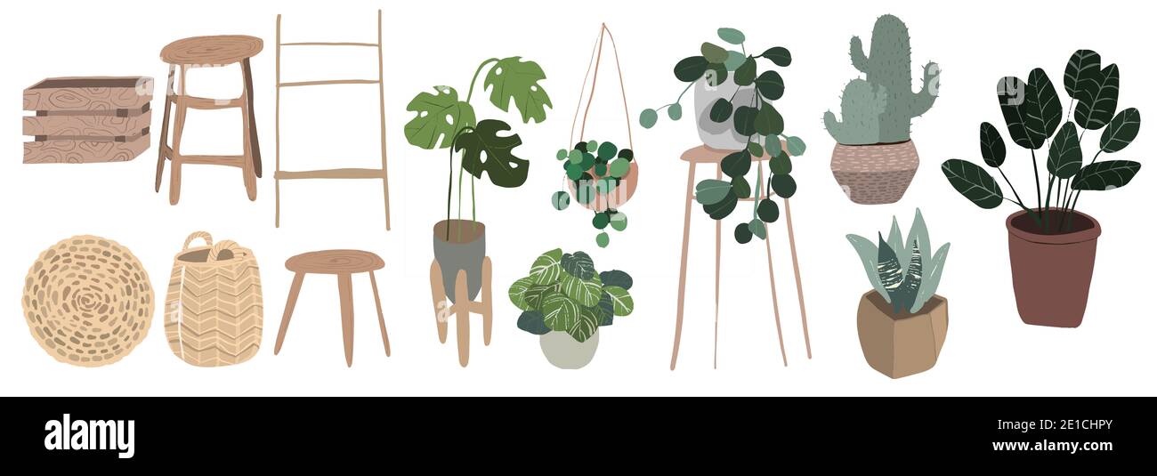 Indoor cactus set flat Cut Out Stock Images & Pictures - Alamy