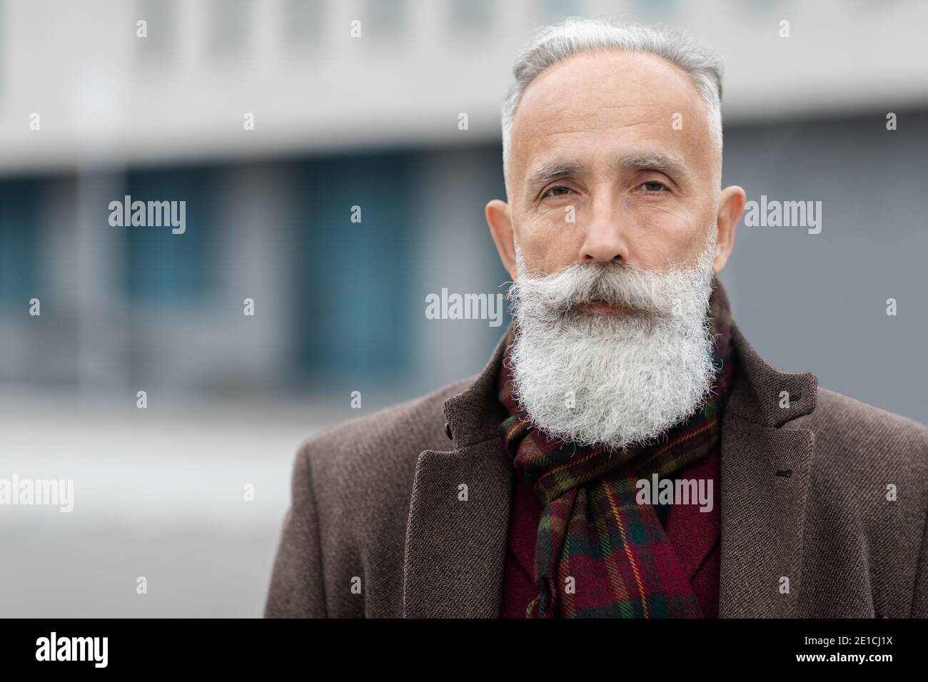 Serious aged grey-haired man with long beard, closeup portrait Stock ...